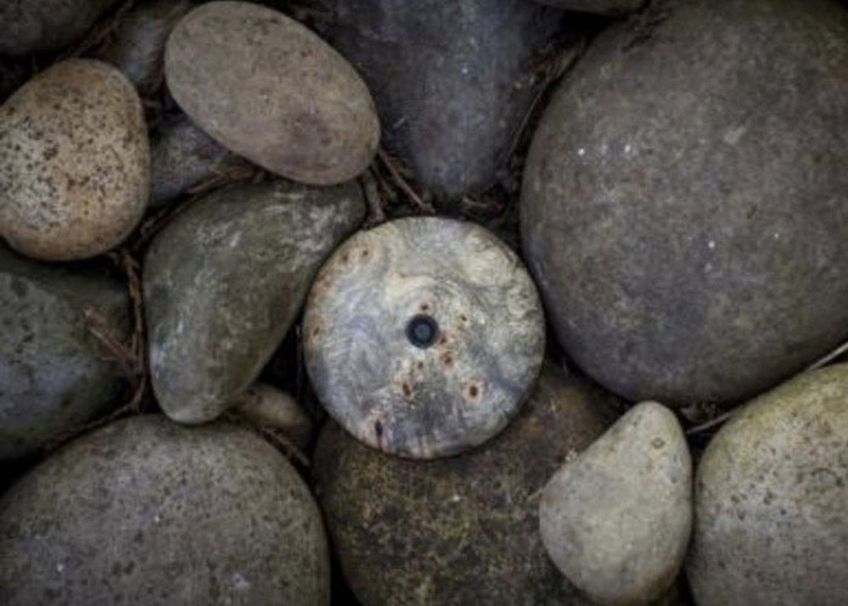 Aunque parezca increíble, lo que se ve en esta imagen es un nuevo ...