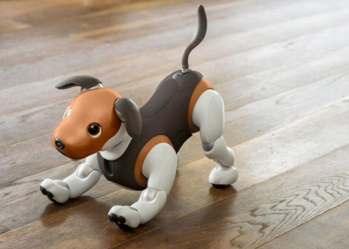 Aibo Choco Edition, el nuevo perro robótico de Sony llega a Japón