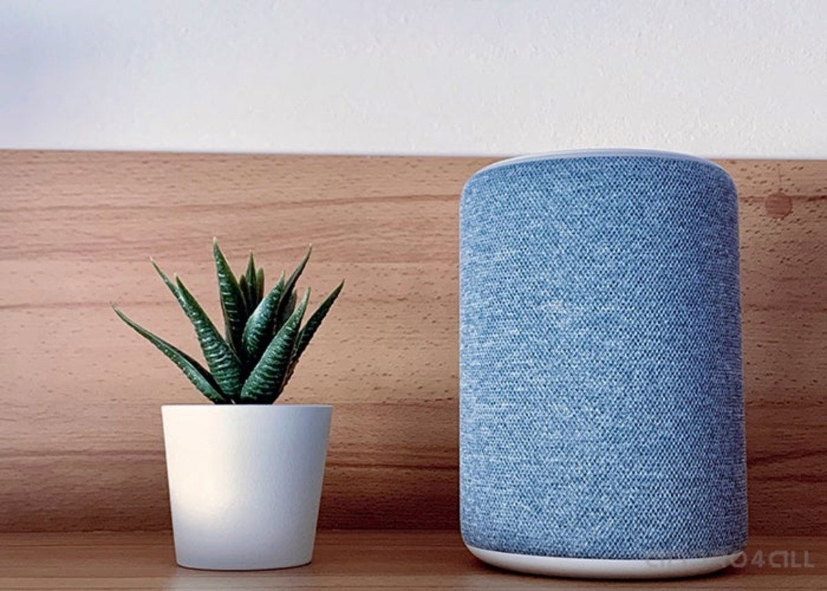 Polémica por la respuesta que Alexa le dio a un niño de 10 años: "toca ...