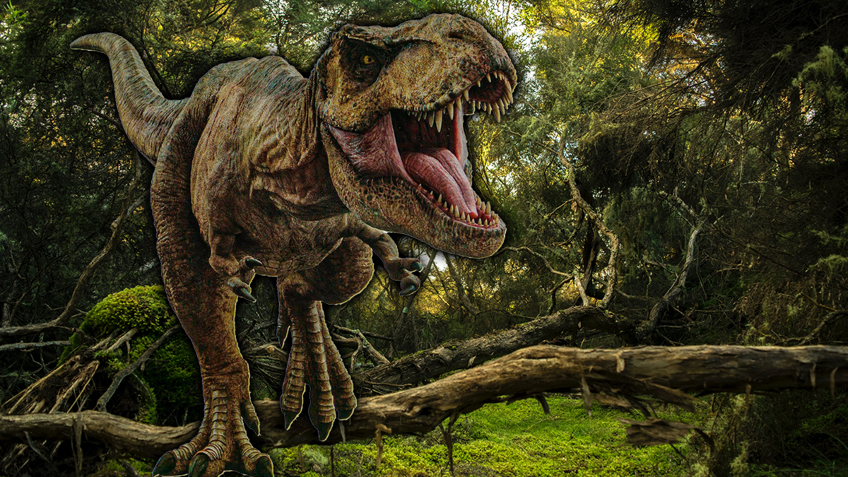 El escabroso y desagradable descubrimiento sobre el T-Rex: sus víctimas ...