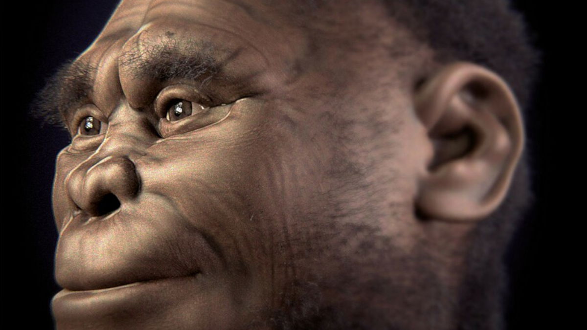 Los "hobbits" existieron y fueron contemporáneos a los humanos: el homo ...